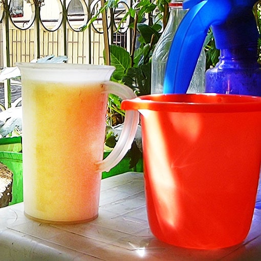 100% Powdery Mildew Control With 5 Safe Home Remedies