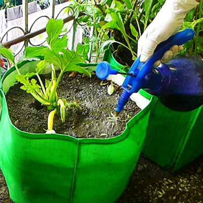 100% Powdery Mildew Control With 5 Safe Home Remedies