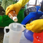 100% Powdery Mildew Control With 5 Safe Home Remedies